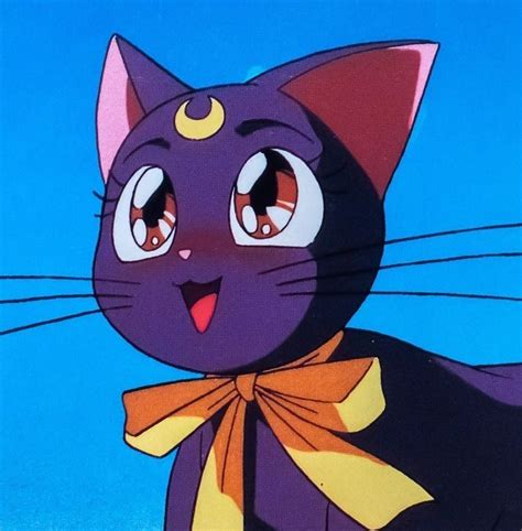Luna ♥ Sailor Moon Cat Sailor Moon Aesthetic Sailor Moon Wallpaper