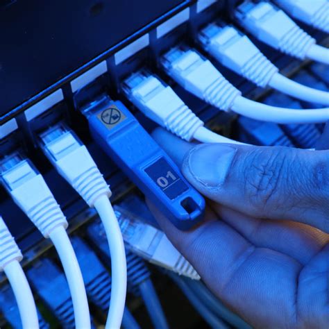 Signaltek Qt Cable Qualification Series Trend Networks