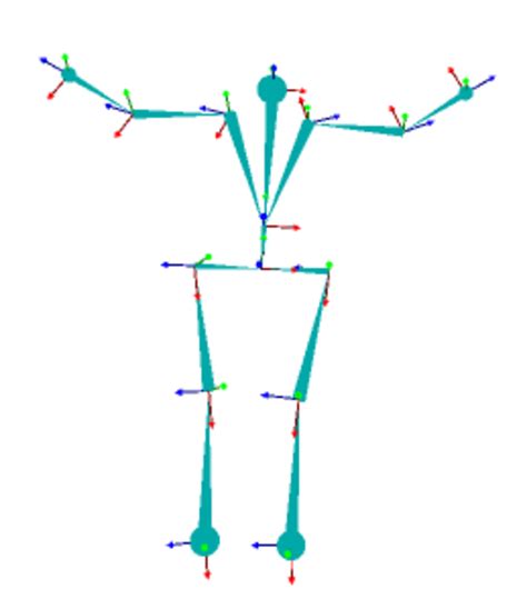 Kinematic Model Used To Convert Marker Positions To Joint Angle Data