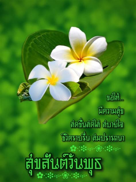วันพุธ 🌿💚 วันพุธ สวัสดีตอนเช้า สีเขียว
