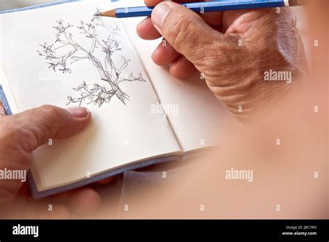 Man Writing A Tree On Sketchbook Environment Conservative Concept Stock Photo Alamy