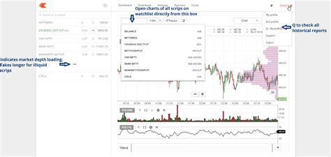 Can Someone Tell What Technical Graph Is This In Zerodha Chart