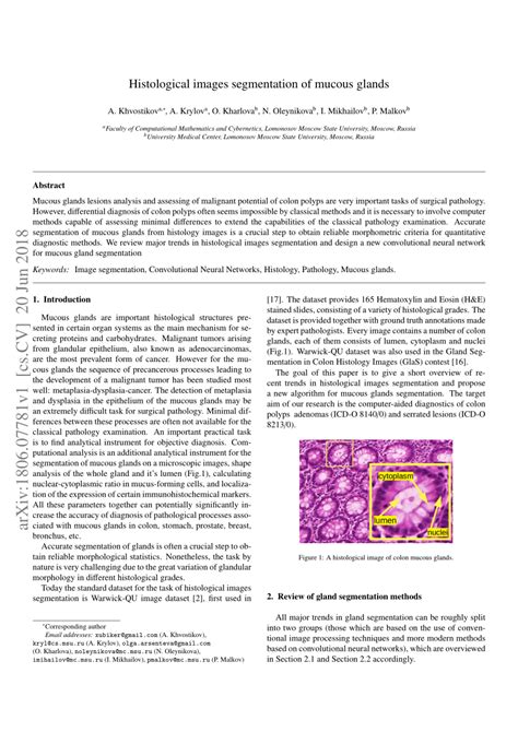 Pdf Histological Images Segmentation Of Mucous Glands