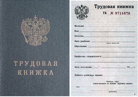 Трудовая книжка бланк и образец в Word что это такое и для чего нужна работнику в 2022