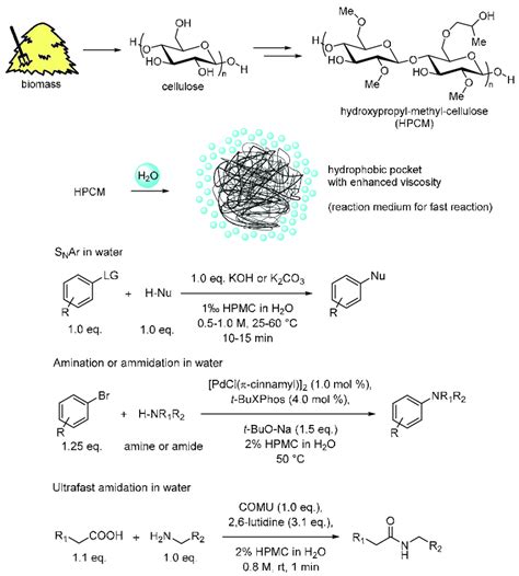 Molecular Structure Of Hpmc And Selected Examples Of Extremely Rapid Download Scientific