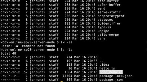 Installing Node Js Express Module Cs5610o Sp20 11105 Youtube