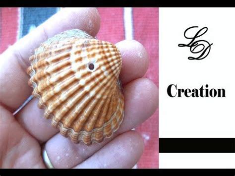 Shell Craft Idea How To Drill A Hole In A Seashell Without A Drill Artofit