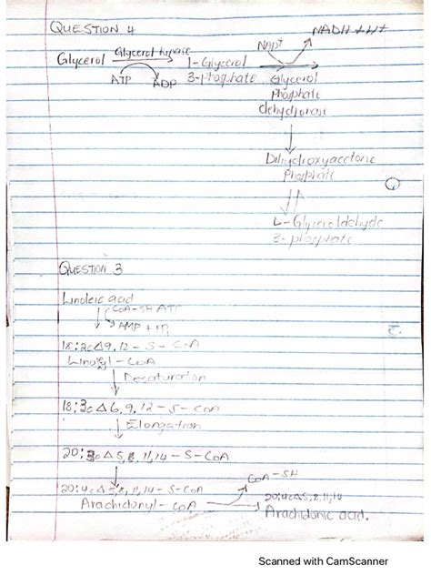 Tut 2 Q134 And 7 Pdf