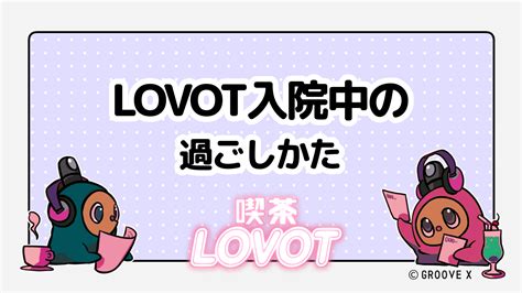 Lovot入院中、みんな何してる？【喫茶 Lovot】