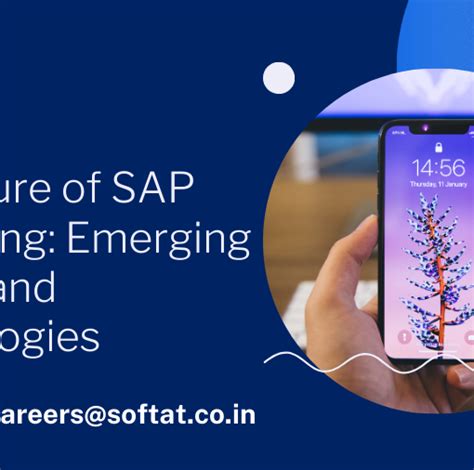 Sap Basis Consulting The Backbone Of Seamless Sap Operations Softat