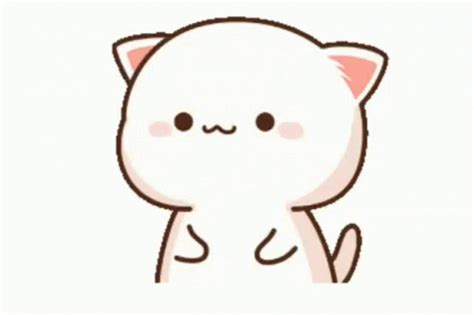 Cute Cat  Cute Cat Spooky Discover And Share S