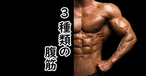 腹筋である「腹直筋」の種類。部位ごとに鍛えてシックスパックに 雑多道楽