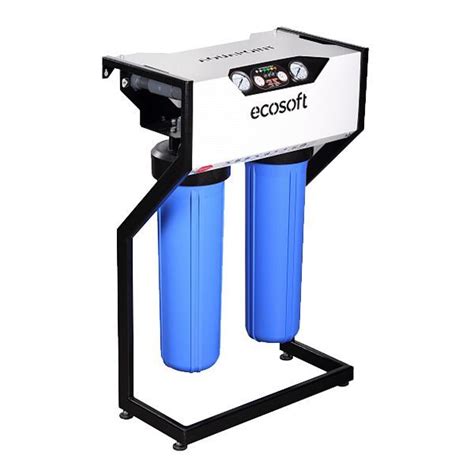 Ecosoft Aquapoint Whole House Filter System Pump Express