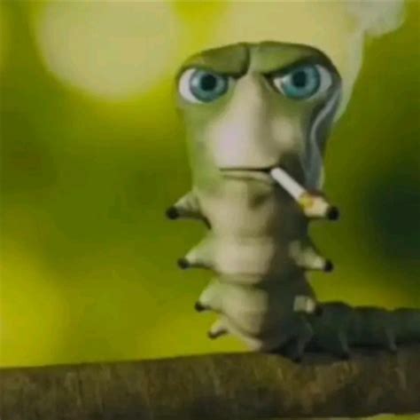 Could Someone Remove The Cigarette From The Bug R PhotoshopRequest
