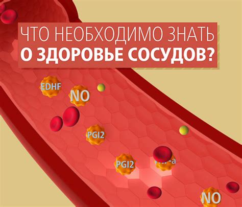 - Тивортин