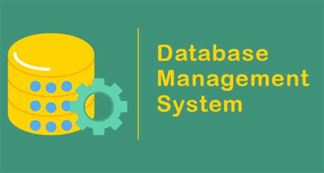 what is database management system dbms