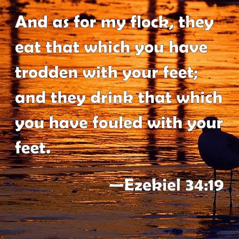 Ezekiel 3419 And As For My Flock They Eat That Which You Have Trodden