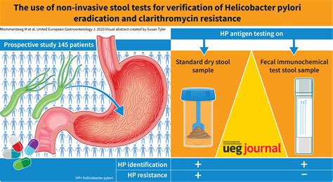 H Pylori Culture Lab Test At Hunter Wang Blog