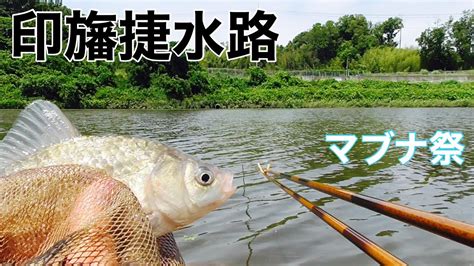 野釣りは楽しい 印旛捷水路 千葉県印西市 YouTube