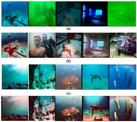 Sample 5 Underwater Images In The Database A Deepwater Input Image Download Scientific