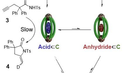 Transient Modulation Of Catalysis By Switching Effectors In Molecular