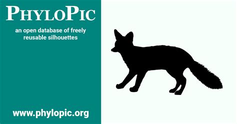 Urocyon Cinereoargenteus By Gabriela Palomo Munoz Cc By Nc 30 Phylopic