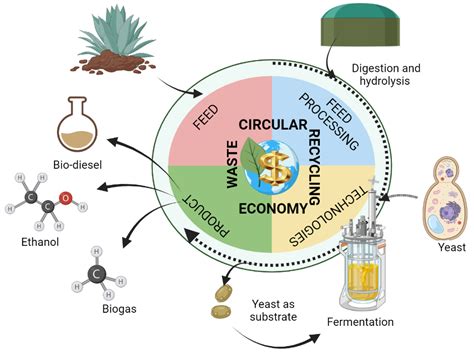 The Gallagher Review Of The Indirect Effects Of Biofuels Production At Judy Canup Blog