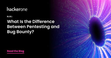 Lucy Castaneda On Linkedin Whats The Difference Between Bug Bounty