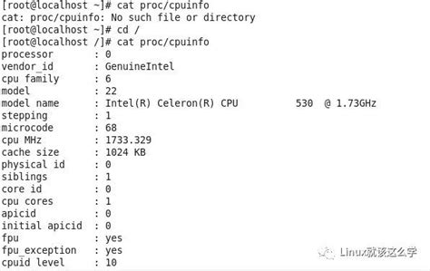 Linux 执行命令特别慢linux运行速度太慢的关键原因全都在这了 Csdn博客
