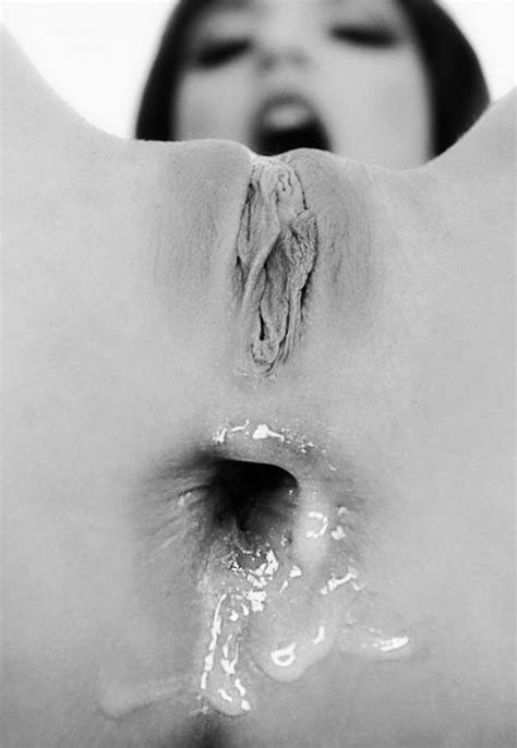 Anal Queens Vol 2 Literotica Discussion Board