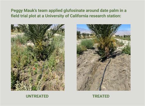 Ir 4 Works With Weed Scientists To Expand Glufosinate Label Ir 4 Project