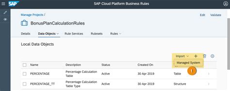 Import Business Rules With Custom Business Object Sap Tutorials