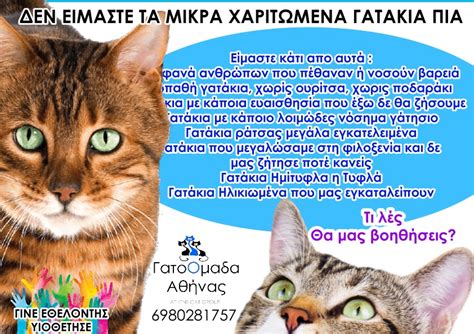 ΓατοΟμάδα Αθηναςγια τα Ευπαθή Γατακια Athens Cat Group 💙Έλα να γίνεις ΕΘΕΛΟΝΤΗΣ κι εσύ όπως