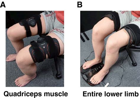 Placement Of Electrical Muscle Stimulation Device A Stimulation Of The Download Scientific