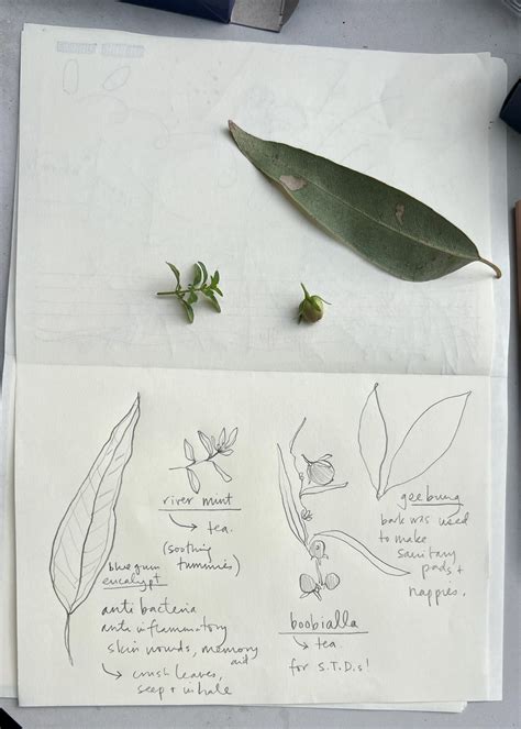 Critical Visualisation World Environment Day