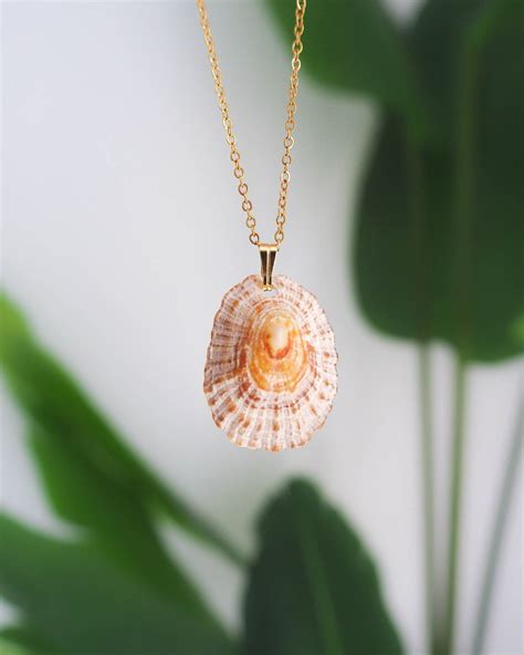 Gold Rustic Limpet Shell Necklace Real Shell Jewelry From Portugal