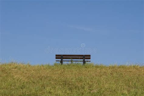 Bench On Grass Picture Image 1045648