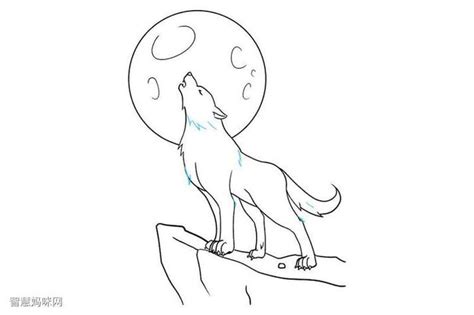 狼简笔画凶猛（流行15张） 简笔画图片大全