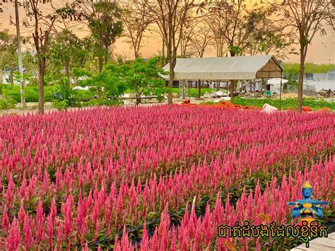បាត់ដំបងដែលខ្ញុំនឹក បាត់ដំបងដែលខ្ញុំនឹក Battambong