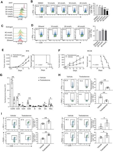 Androgen Signaling Contributes To Sex Differences In Cancer By