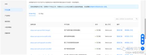 Websocket长连接接入支付宝消息服务，实现消息通知 Csdn博客