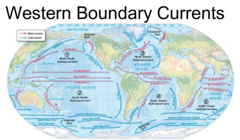 Oceans Chapter 11 Western Boundary Currents Flashcards Quizlet