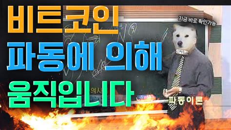 비트코인 단기반등가능성 ↑손익비 자리 확인하세요 Youtube