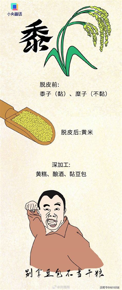 今天是第43个世界粮食日你知道什么是五谷吗 搜狐大视野 搜狐新闻