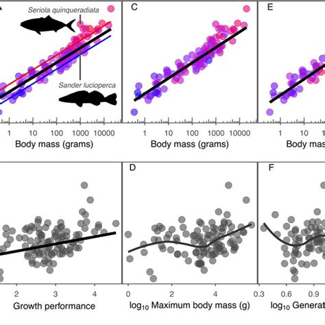 Relationships Between Resting Metabolic Rate Rmr Measurement Body