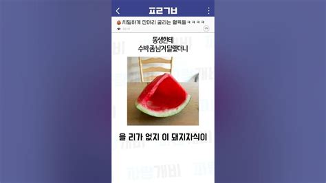 치밀하게 잔머리 굴리는 혈육들ㅋㅋㅋㅋ Youtube