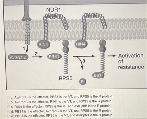 Solved In The Following Figure An Effectoravr R And Vt