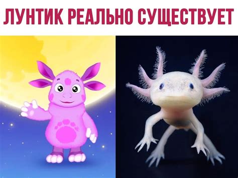 Лунтик На Луне Картинки - 49 фото