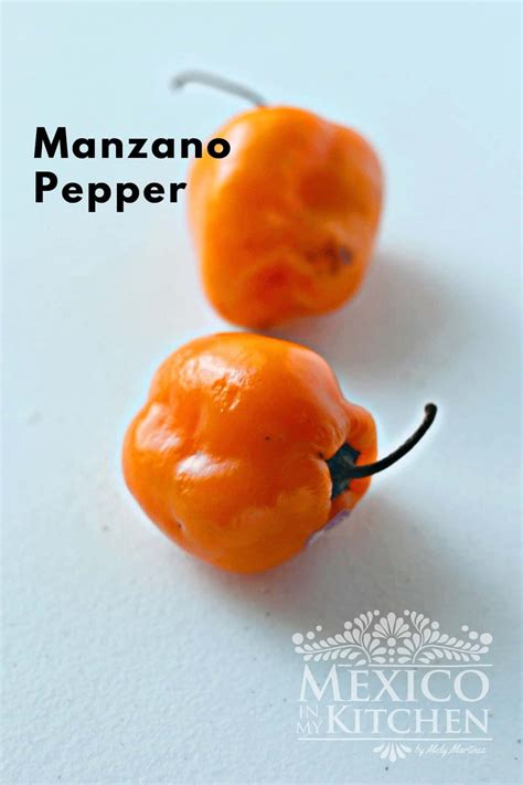 Everyday Mexican Peppers Mexican Peppers Mexican Food Recipes