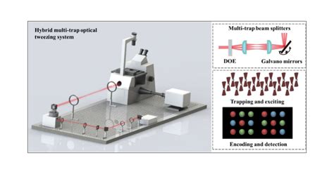 Multiple Mirna Detection Through A Suspended Microbead Array Encoded By Triple Color